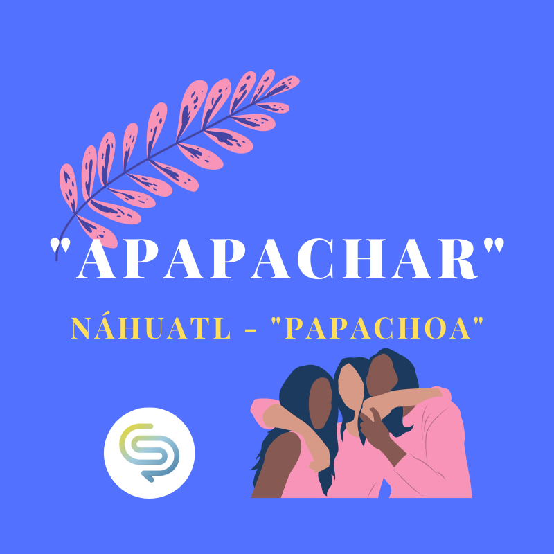 Apapachar - Stillman Translations